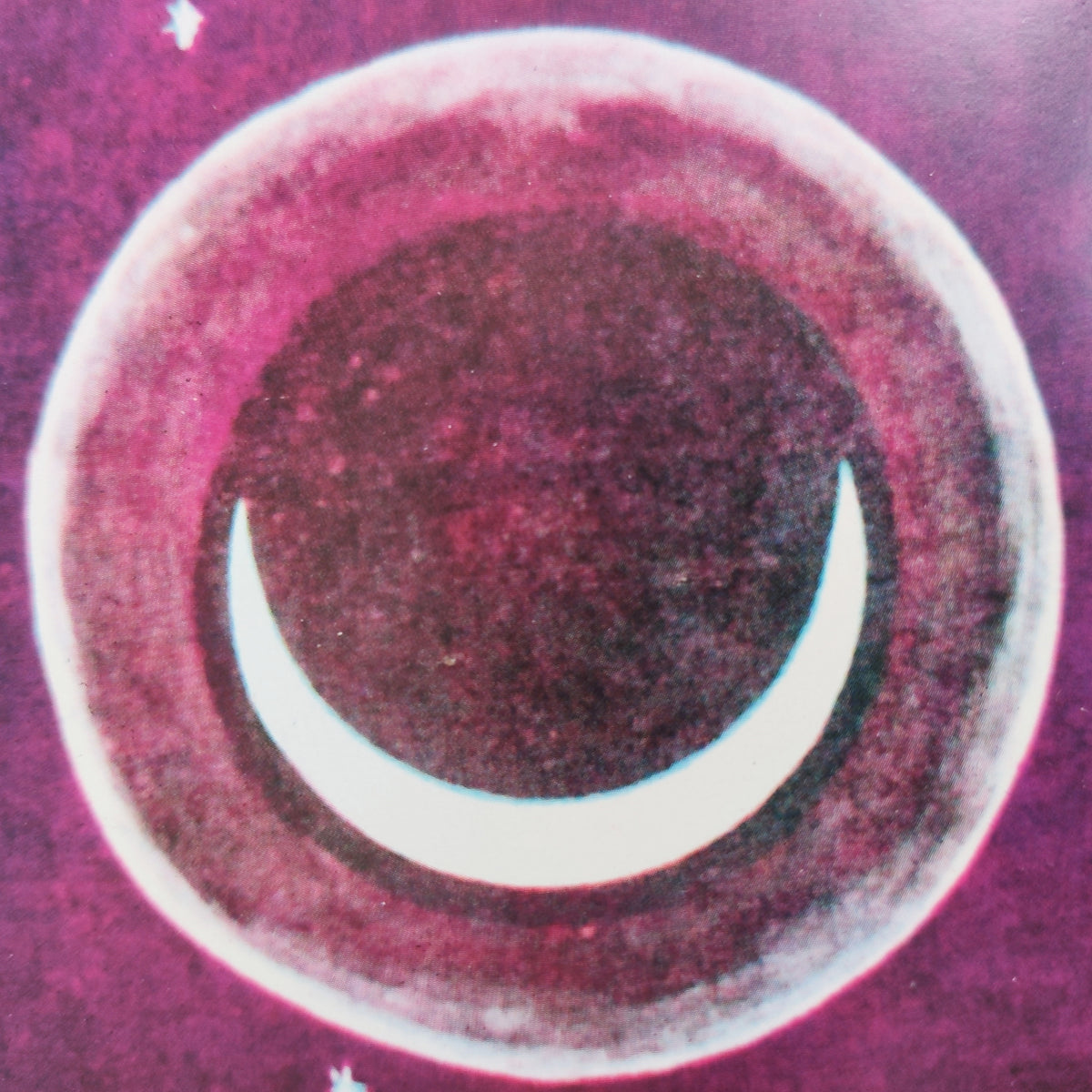 La capacidad de hibernación yóguica revelada por bindu visarga ...